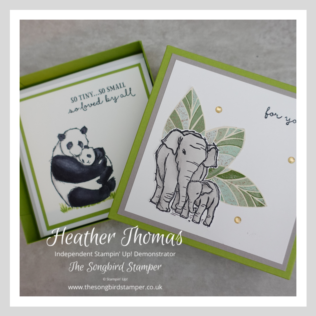 Wildly Happy Stamp Set - The Songbird Stamper
