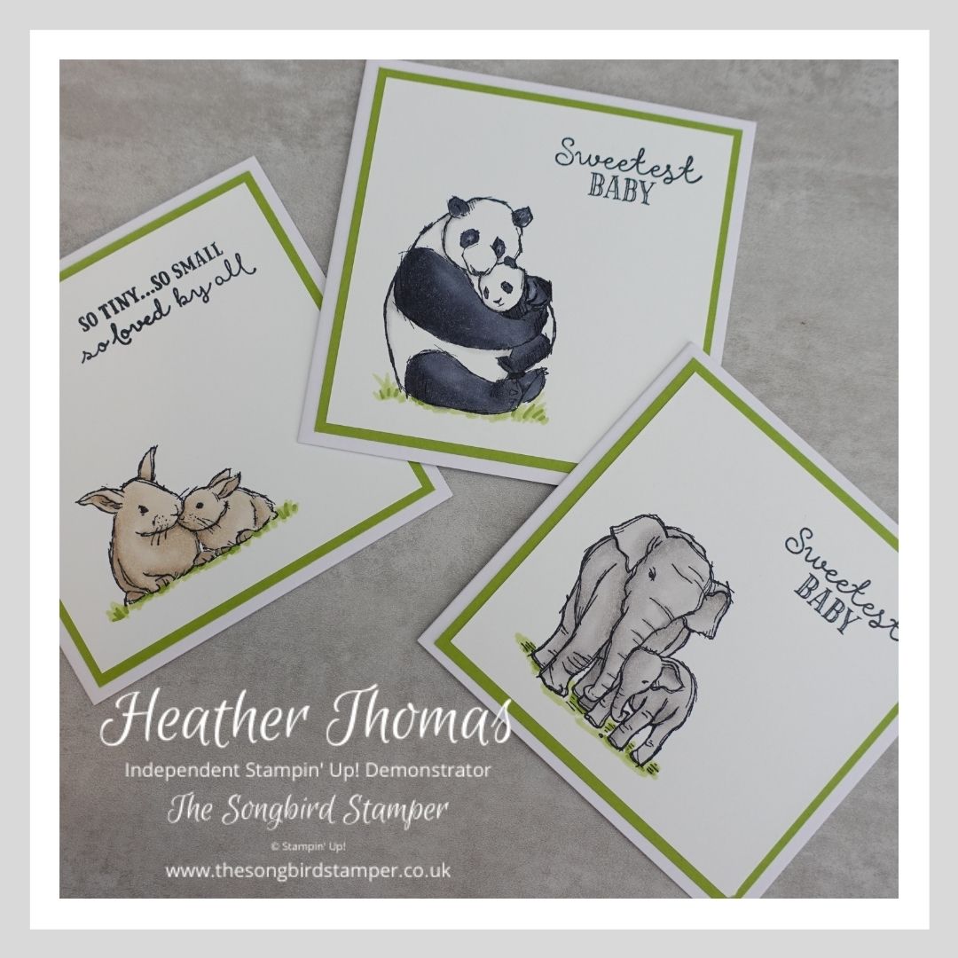 Grab yourself a bargain with the Wildly Happy Stamp Set… - The Songbird ...