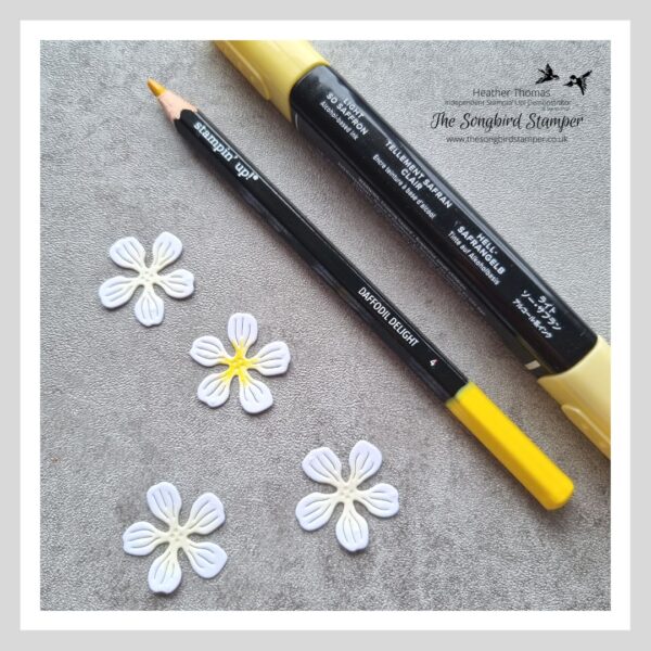 Mixed Media Colouring – Stamptastic Friends Blog Hop August ’22… - The ...