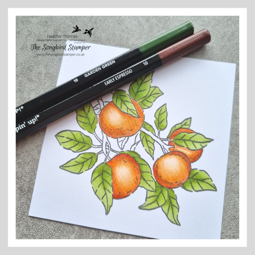 Mixed Media Colouring – Stamptastic Friends Blog Hop August ’22… - The ...