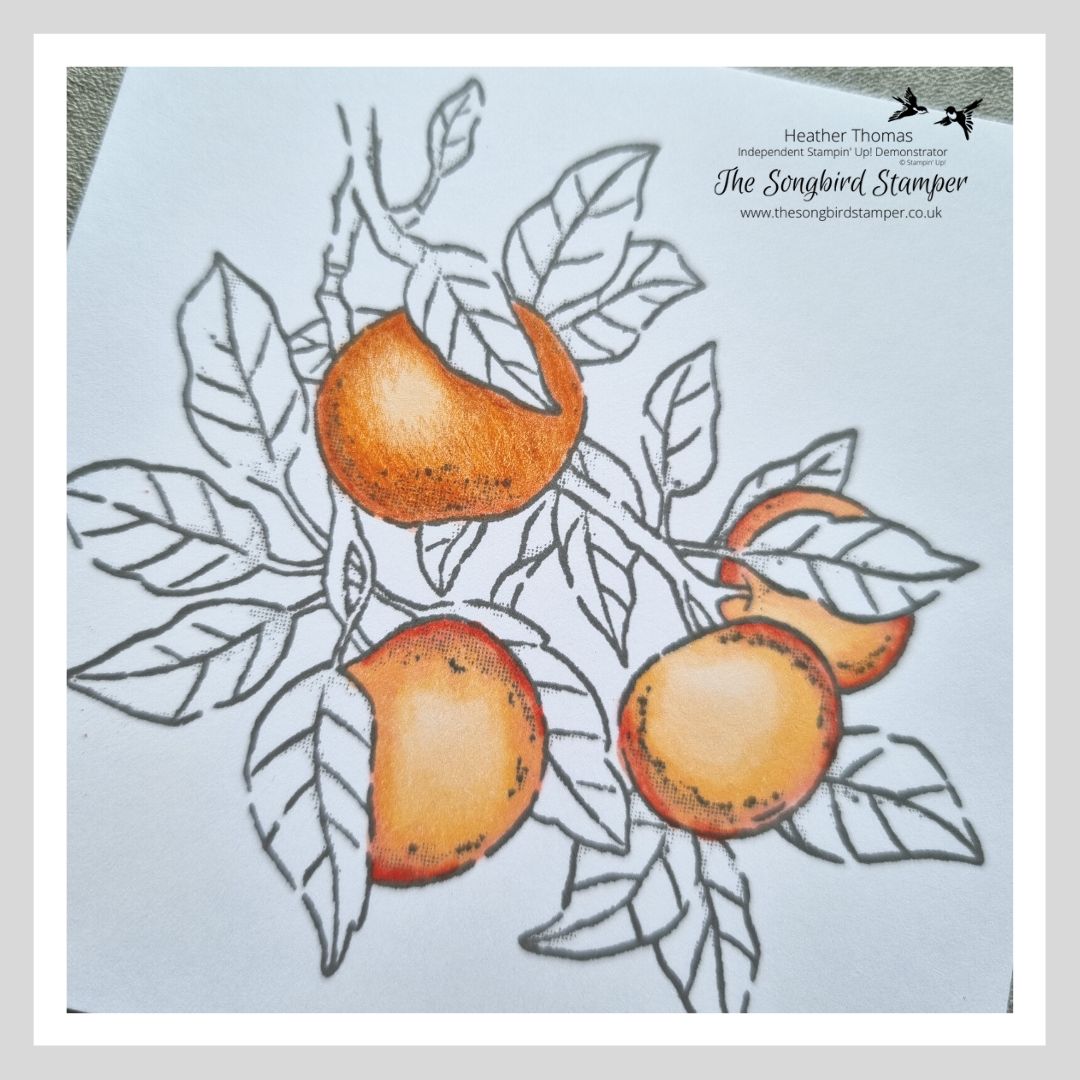 Mixed Media Colouring – Stamptastic Friends Blog Hop August ’22… - The ...